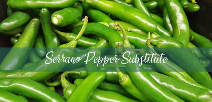 Top 08 Serrano Pepper Substitute You Can Use