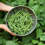 Best Okra Substitutes For Your Recipes