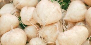 9 Best Parsnip Substitute in Cooking
